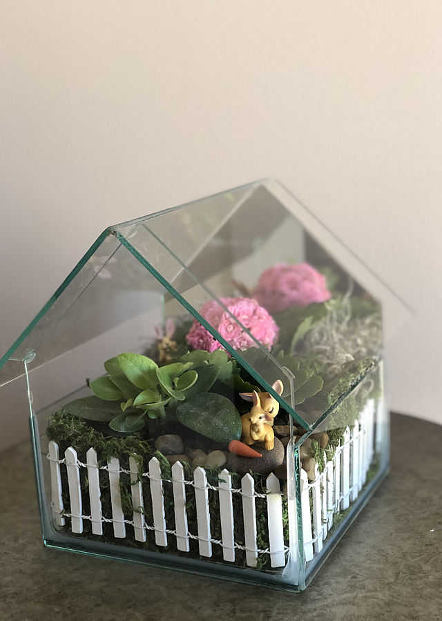 Bunny Terrarium | The Flower Alley
