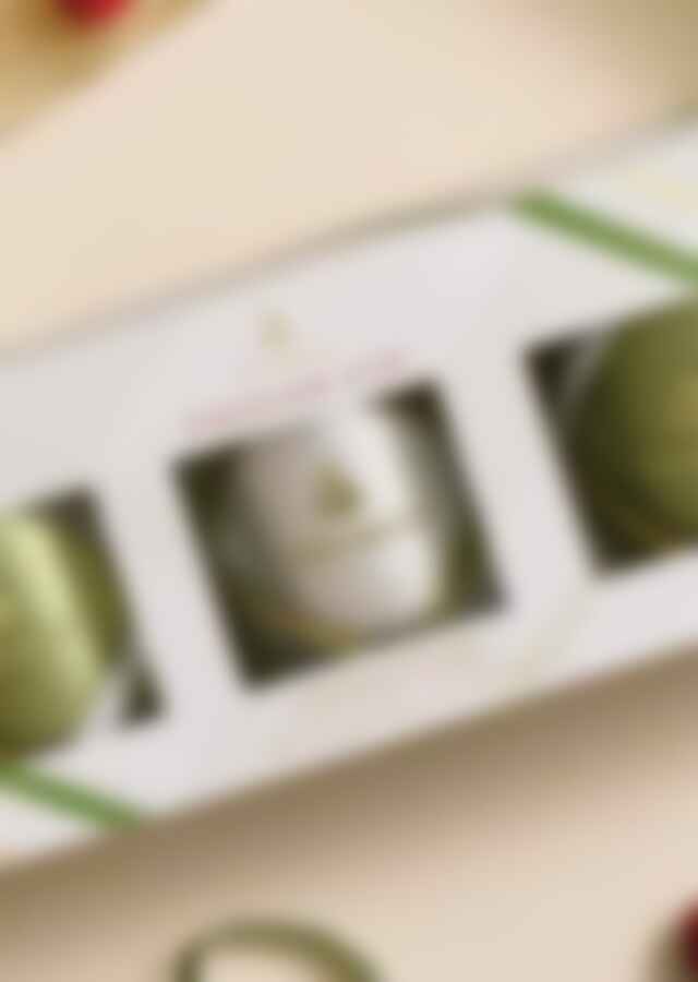 Frasier Fir Aromative Votive Trio Set | The Flower Alley