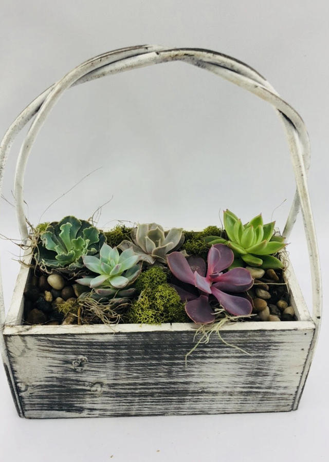 Succulent Love | The Flower Alley